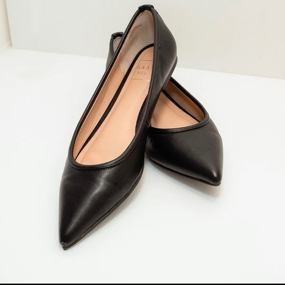 Kaari Blue | Shoes | Chic And Durable Pointed Toe Flats Perfect For ...